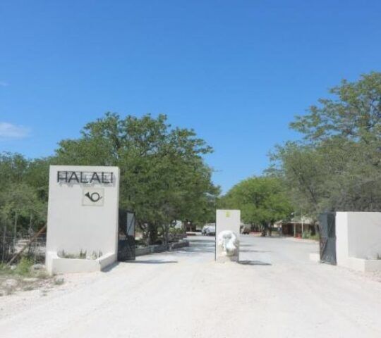 Halali Campsite - Etosha Campsites - Book Now!